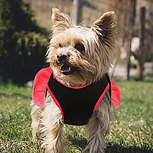 Phiyolin Dog Dress, Pet Princess Dress Red Organza Puppy Dress with Cute Bow, Pet Dress with Diamond Dog Skirt for Small to Medium Dogs(M,Red)