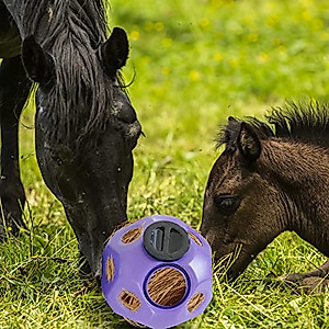 shamjina Horse Treat Ball Hay Feeding Toy Hay Feeder Ball for Horse Stable Stall, Purple