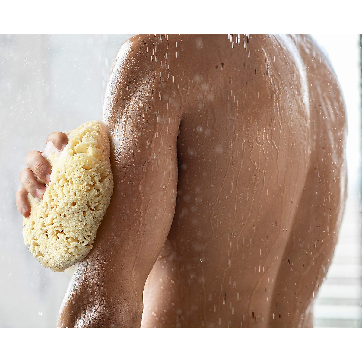 Real Sea Sponge for Men - Extra Large 6"-7", Totally Natural, Kind on Skin for an Invigorating Shower, Supplied in Breathable Mesh Bag. Great for The Gym, Grooming, Bath & Body Gift by Constantia Man