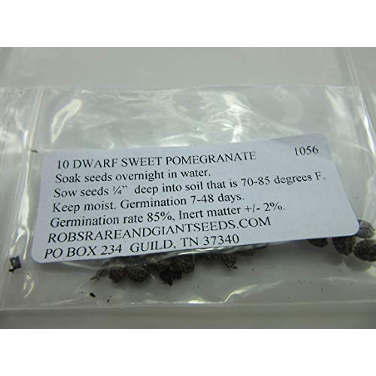 1056-Pomegranate Dwarf (Punica granatum) Seeds by Robsrareandgiantseeds UPC0764425786299 Non-GMO,Organic,USA Grower,1056 Package of 10 Seeds