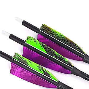 ACCMOS 500 Spine Arrow 25 Inch Arrow Target Practice Arrow Hunting Arrow Carbon Arrows Compound Bow Recurve Bow Adult Youth Archery Indoor Outdoor Shooting Field Tip
