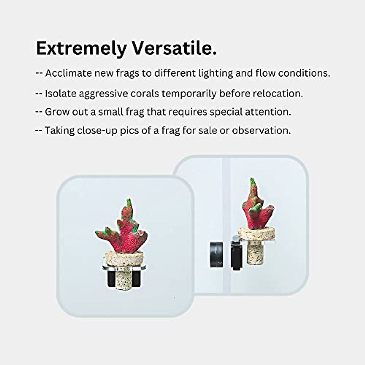 Oceanbox Designs CoralOne™ Magnetic Solo Frag Rack (Clear, 4 Pack), Single Frag Rack, Reef-Safe No-Rust 100% Waterproof Magnets, Made in USA