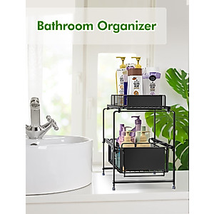 Docusvect Under Sink Organizer, 2-Tier Metal Under Cabinet Sliding Storage, Under Kitchen Sink Organizer, Under Sink Organizers and Storage with Hooks, Organizer for Bathroom Kitchen (Steel-1Pack)