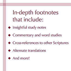 The Book of Isaiah: The Vision (The Passion Translation, Paperback) – A Heartfelt Bible Translation of the Book of Isaiah, Makes a Great Gift for Confirmation, Holidays, and More