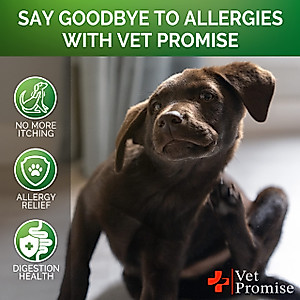 Vet Promise Dog Allergy Chews - Itch Relief for Dogs - Dog Allergy Relief - Anti Itch for Dogs - Dog Itchy Skin - Dog Allergy Support - Hot Spots - Immune Health Supplement - Made in USA - 120 Treats