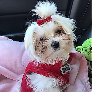 Chenkou Craft New 40pcs(20pairs) Puppy Yorkie Dog Hair Bow Pure Ribbon with Rubber Band 40mm Pet Grooming Products Mix Colors Varies Patterns Pet Hair Bows (Pure Ribbon Rubber Bow)