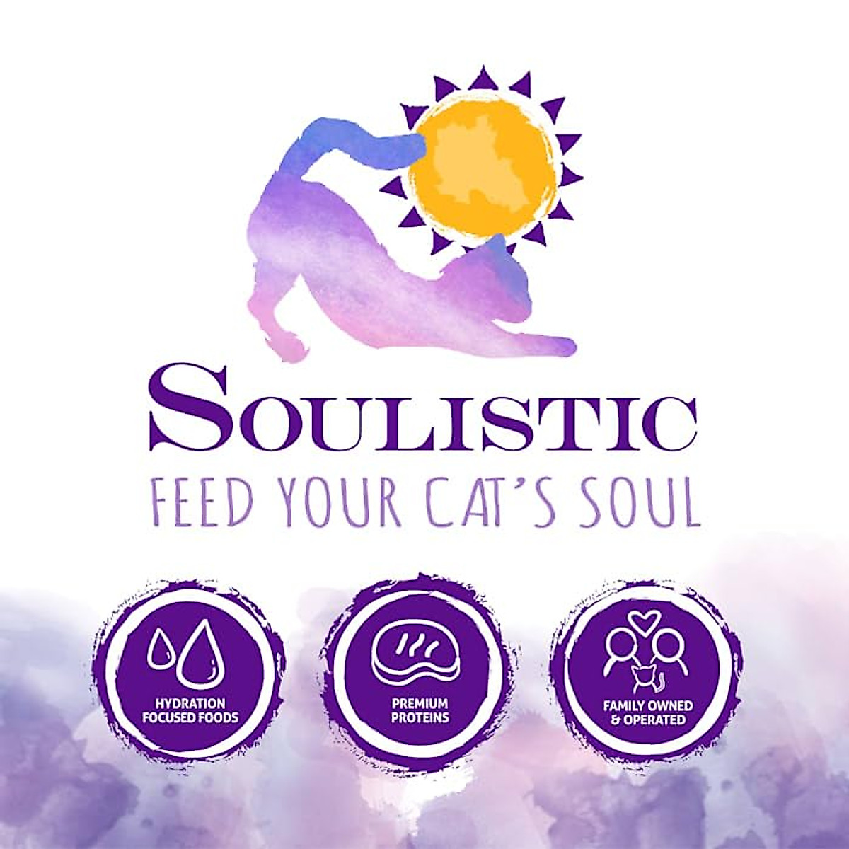 Soulistic Pureed Pumpkin Food Supplement for Cats & Dogs, 1.05 oz., Case of 12, 12 X 1.05 OZ