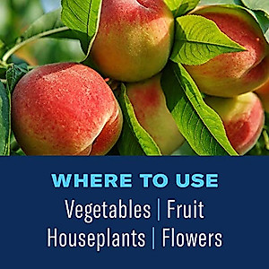 BioAdvanced Organics Brand Insecticidal Soap, Ready-to-Use, 24 oz