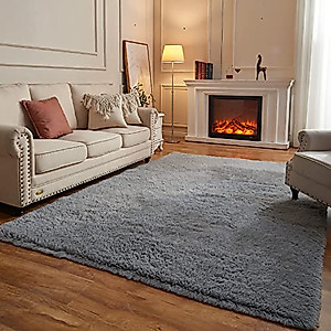 Arbosofe Fluffy Soft Area Rugs for Bedroom Living Room, Light Gray Shaggy Rugs 5 x 7 Feet, Carpet for Kids Room, Throw Rug for Nursery Room, Fuzzy Plush Rug for Dorm, Cute Room Decor for Baby