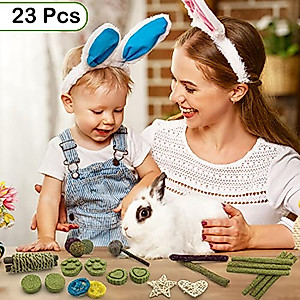 Rabbit Toys Guinea Pig Toys Bunny Toys 23PCS, Rabbit Chew Toys for Teeth Care, Natural No Strong Smell Timothy Hay Sticks Chew Treats and Balls for Bunny, Rabbit, Guinea Pig, Chinchilla, Hamster