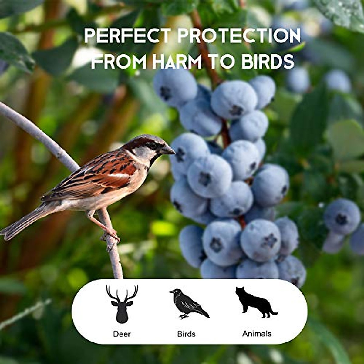 YHmall Bird Netting 13 x 33 Feet, Green Plant Garden Netting Reusable Heavy Duty, Fruit Tree Netting with 50 Pcs Cable Ties Protect Fruit Trees Blueberries Plants and Vegetables from Birds and Animals