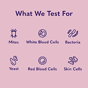 MySimplePetLab Dogs Ear Infection Test Kit | Fast and Accurate Detection of Yeast and Other Ear Irritations| Reliable Mail-in Dog Ear Care Test for Smelly, Itchy, or Sore Ears