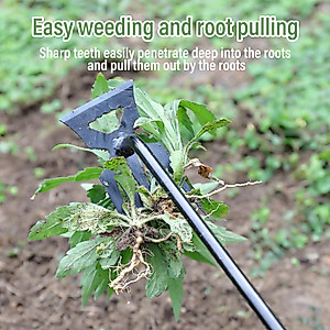 SIXCAR Weeding Tools,Portable Garden Weeder Tool,2024 New Manganese Steel Weed Puller,for Hand Weeder for Vegetable Gardening Backyard Farm Planting & Uprooting Weeding Tool (Black 5-Tooth)