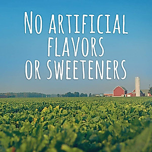 Gerber Graduates Fruit & Veggie Melts - Truly Tropical Blend, 1-Ounce (Pack of 4)