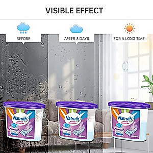 NATRUTH Moisture Absorbers With Lavender Scent,12.5OZ*6-Pack Portable Closet Dehumidifier, Odor Eliminator Absorber Bucket,Humidity Absorber,Cleaner Air Dehumidifier for Closet,Bathrooms, Kitchen