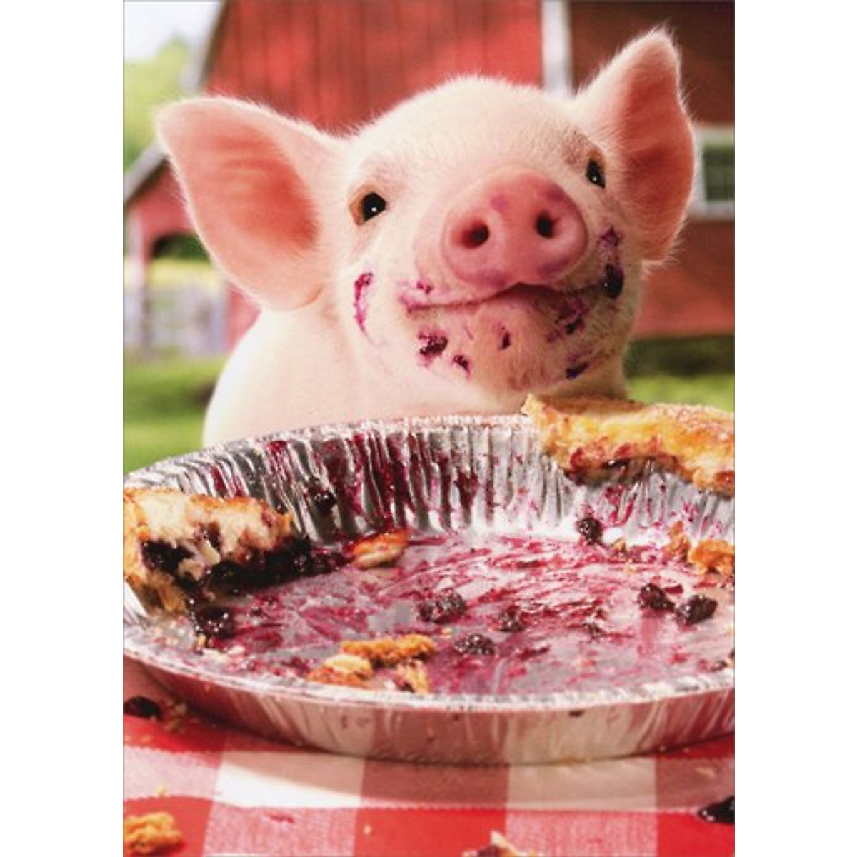 Party Pig Pie Plate - Avanti Birthday Card