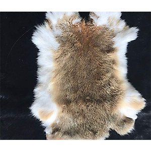 Natural Tanned Rabbit Fur Hide (10" by 12" Rabbit Pelt with Sewing Quality Leather)
