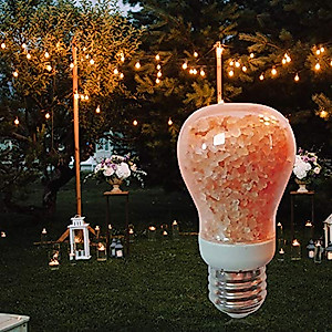 Natural Pink Salt LED Light Bulb, 40 Watt Equivalent Night Light - 1 Count