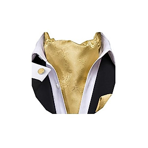 Dubulle Paisley Floral Ascot Tie for Men Self Tie Mens Cravat Tie and Pocket Square Cufflinks Wedding,B Gold