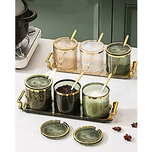 Acrylic Condiment Spice Jars,Condiment Spice Box With Lids and Spoons and Tray,Clear Plastic Condiment Canisters,Seasoning Box 3 Pack,Seasoning Box Set for Kitchen to Storage Salt,Paprika,Sugar