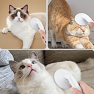 Cat Brush, Cat Brush for Shedding, Cat Brush with Release Button, Cat Brushes for Indoor Cats, Self Cleaning Slicker Cat Hair Brush for Kitten Grooming Massage Remove Tangles and Loose Fur