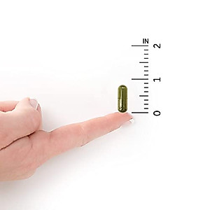 Garden of Life Vitamin D, Vitamin Code Raw D3, Vitamin D 2,000 IU, Raw Whole Food Vitamin D Supplements with Chlorella, Fruit, Veggies & Probiotics for Bone & Immune Health, 60 Vegetarian Capsules