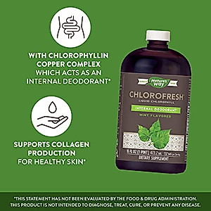 Nature’s Way Chlorofresh, Supports Detoxification Pathways*, Liquid Chlorophyllin Copper Complex, Supports Healthy Skin*, Internal Deodorant*, Mint Flavored, 16 Fl Oz.