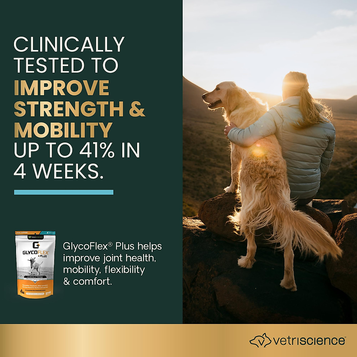 VetriScience GlycoFlex Plus Hip and Joint Supplement for Dogs – Extra-Strength Joint Support Chews with Green Lipped Mussel, Chondroitin, and Glucosamine for Dogs