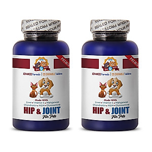 pet Joint Supplements - Hip and Joint Health for Pets - Dogs and Cats - Premium - Treats - chondroitin for Dogs - 240 Chews (2 Bottles)