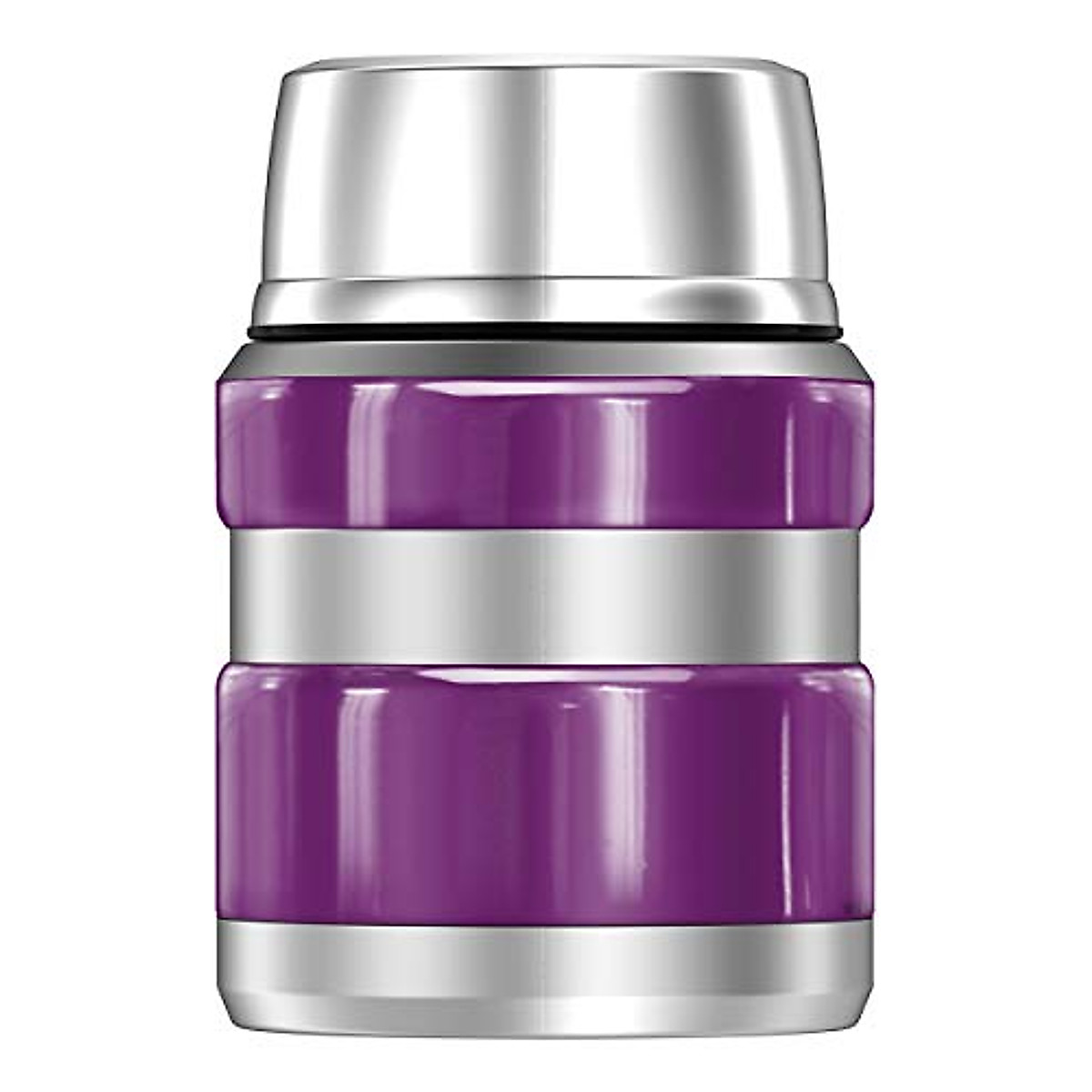 THERMOS Looney Tunes Tweety Bird Pose, STAINLESS KING Stainless Steel Food Jar with Folding Spoon, Vacuum insulated & Double Wall, 16oz