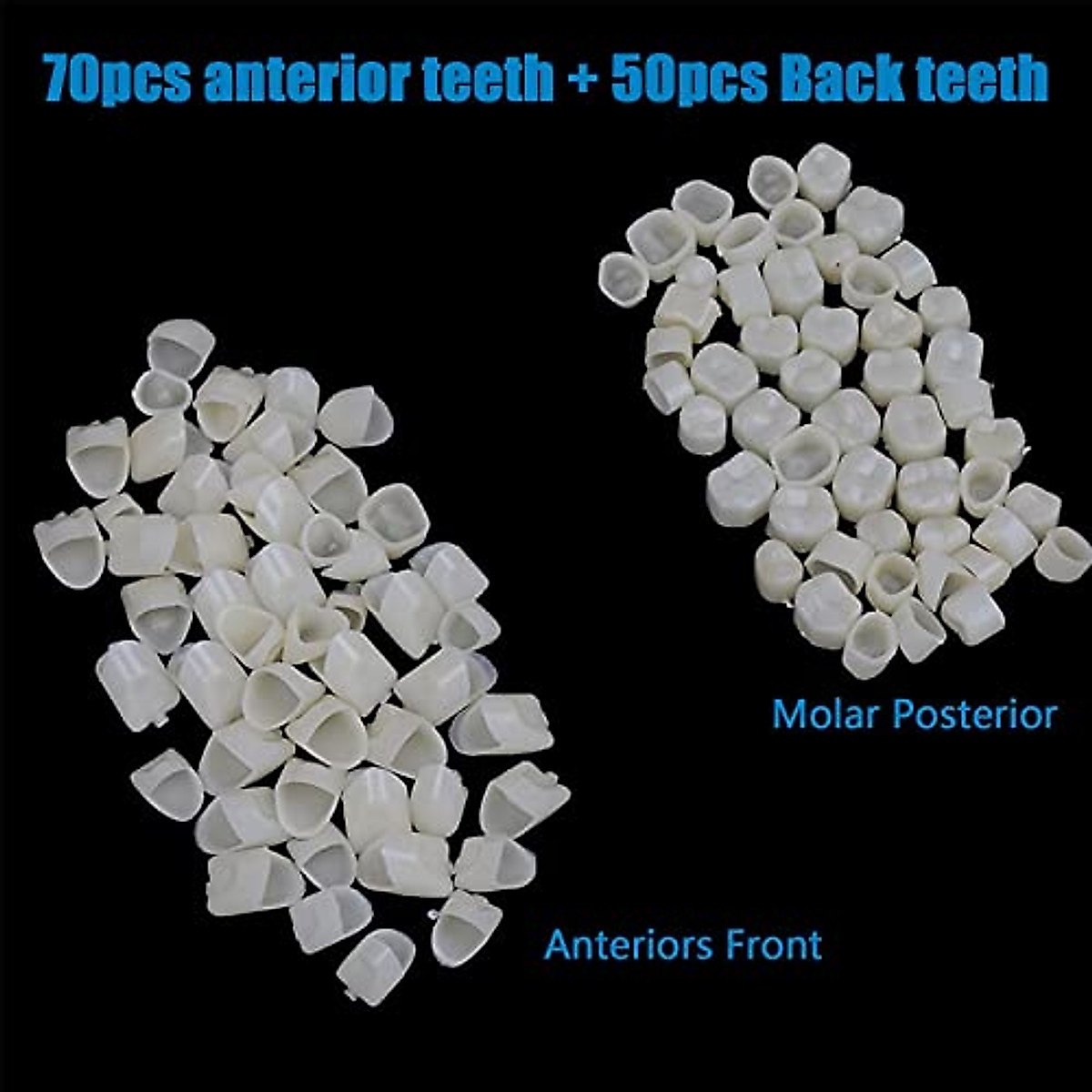 120 Pieces Fake Tooth Cap Crown Veneers Front Back Anterior and Molar Posterior Teeth with Thermal Beads Cap Filler for Teaching or DIY (50pcs Front and 70pcs Back)