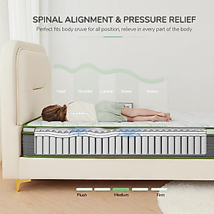 Novilla Twin XL Size Mattress, 10 Inch Hybrid Mattress in a Box with Individually Wrapped Pocket Coils & Memory Foam, Supportive & Pressure Relief, Breathable Mattresses Twin XL,Medium Firm, vigour