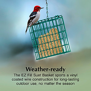 C&S Wild Bird EZ Fill Suet Basket, Green