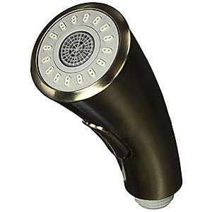 Pull Out Spray Head