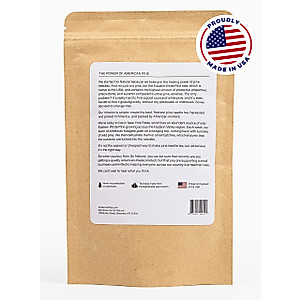 Pine needle tea, wild-foraged in the USA, picked from northern white pines | Protects against infection, strengthens immunity, high in antioxidants, natural suramin (20 Count (Pack of 1))