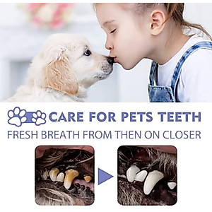 Pet Clean Teeth Spray, 2023 New Formula for Dogs & Cats, No Brushing Required, Freshens Breath, Prevents Plaque & Tartar, Natural Oral Care Spray (1pc)