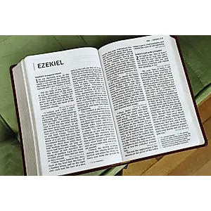 NIV, Reference Bible, Giant Print, Leather-Look, Burgundy, Red Letter, Comfort Print