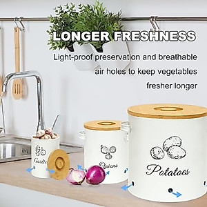 Holismo Potato Storage For Pantry, 3 Containers Kitchen Counter Organizer Countertop Onion and Potato Storage bin with Garlic Holder, Kitchen Canisters Vegetable Keeper with bamboo lid