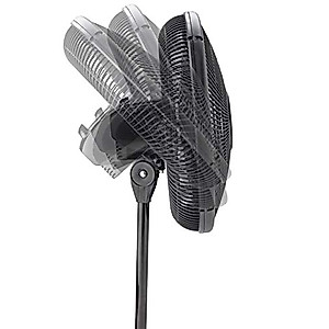 Lasko FBA_2521 Oscillating Adjustable 16-inch Standing Pedestal Fan for Indoor, Bedroom, Living Room, Home Office & College Dorm Use, 1-Pack, Black Basic