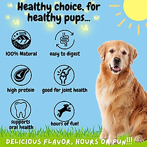 BULLYSTICKS & MORE 6 Inch Bully Sticks (Regular - 16 Pack) | Bully Sticks for Medium Dogs | 100% Grass Fed Beef | Dog Parents Choice Bully Stick Dog Chews | No Hide Bully Bones