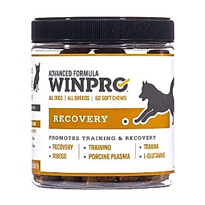 WINPRO Recovery Chews for Dogs, Plasma-Powered for Active Dogs, Immune System Support, and Dog Training Support for Competition and Sport Muscle Recovery and Agility, 60 Count, Made in USA