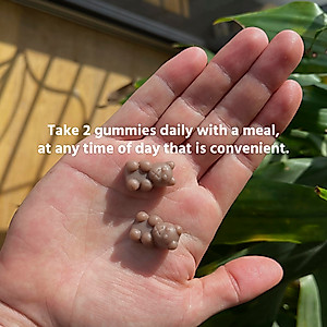 TruHeight Gummies - Natural Height Growth Supplement for Kids & Teens - Pediatric Recommended Height Maximizer with Ashwaganda & Calcium - Height Increase Vitamins, Bone Strength, Grow Taller, Ages 5+