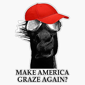 Ivermectin and Pandemic Paul Sticker Vinyl Decal Bumper Sticker 5"