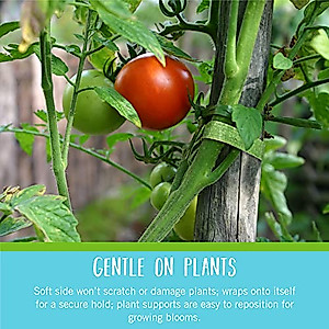 VELCRO Brand 90648 ONE-WRAP Garden Ties | Plant Supports for Effective Growing | Strong Grips are Reusable and Adjustable | Cut-to-Length, 75 ft x 1/2 in, Green-Recycled Plastic