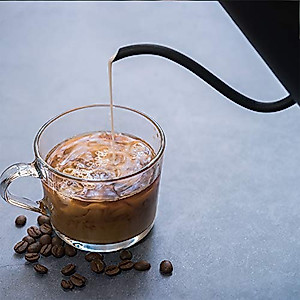 Easyworkz Gage Gooseneck Pour Over Coffee Kettle 20 oz with Thermometer Stainless Steel Hand Drip Coffee Pot With Long Narrow Spout