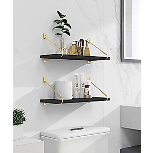 Gronda Black Floating Shelves Set of 2, Black Gold Wall Shelves Minimalist Modern Wall Decor Wooden Bookshelves Trophy Display Storage Plants Floating Shelves Wall Mount Living Room Bedroom Bathroom