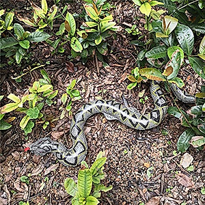 Tonxunuu 37 inch Inflatable Snake for Garden Pool Props and Halloween Decoration