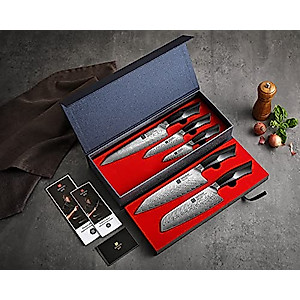 XINZUO 5-piece Damuscus Kitchen Knife Set,67 Layer Hand Forged Damascus Steel Professional Chef Knife Set with Gift Box, G10 Black Handle,Razor Sharp-Feng Series