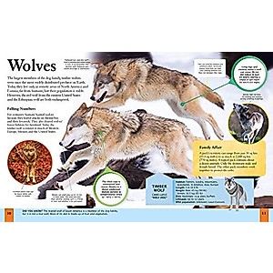 Children's Encyclopedia of Animals: Take a Walk on the Wild Side! (Arcturus Children's Reference Library, 3)