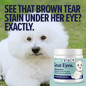 Great Pets - Great Eyes - Safe & Gentle Tear Stain Remover for Dogs - Natural Eye Wipes for Dogs - Made in The USA & Easy to Use Pre-Soaked Wipes - 100 Wipes